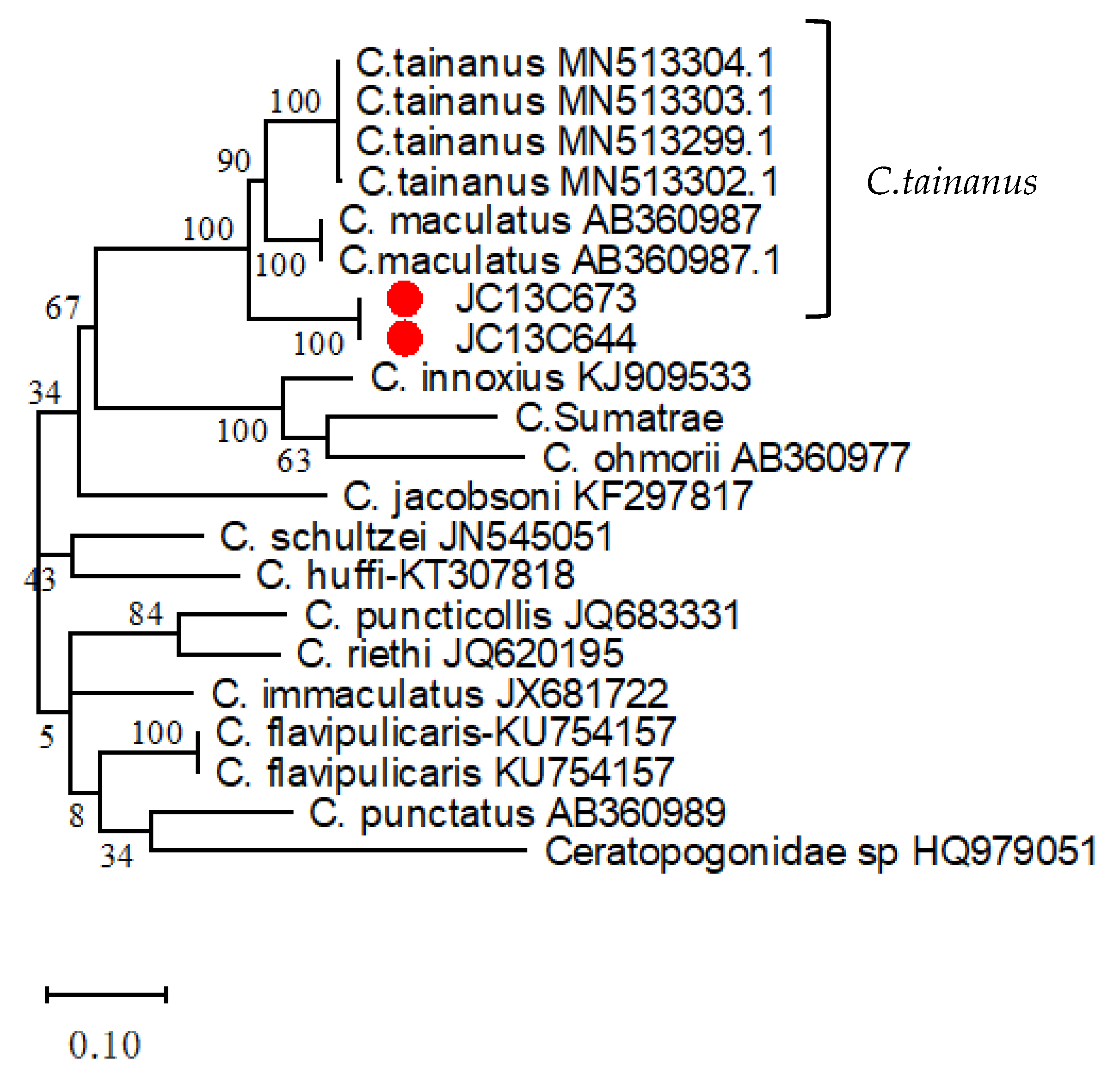 Isolation of Epizootic Hemorrhagic Disease Virus Serotype 10 from ...