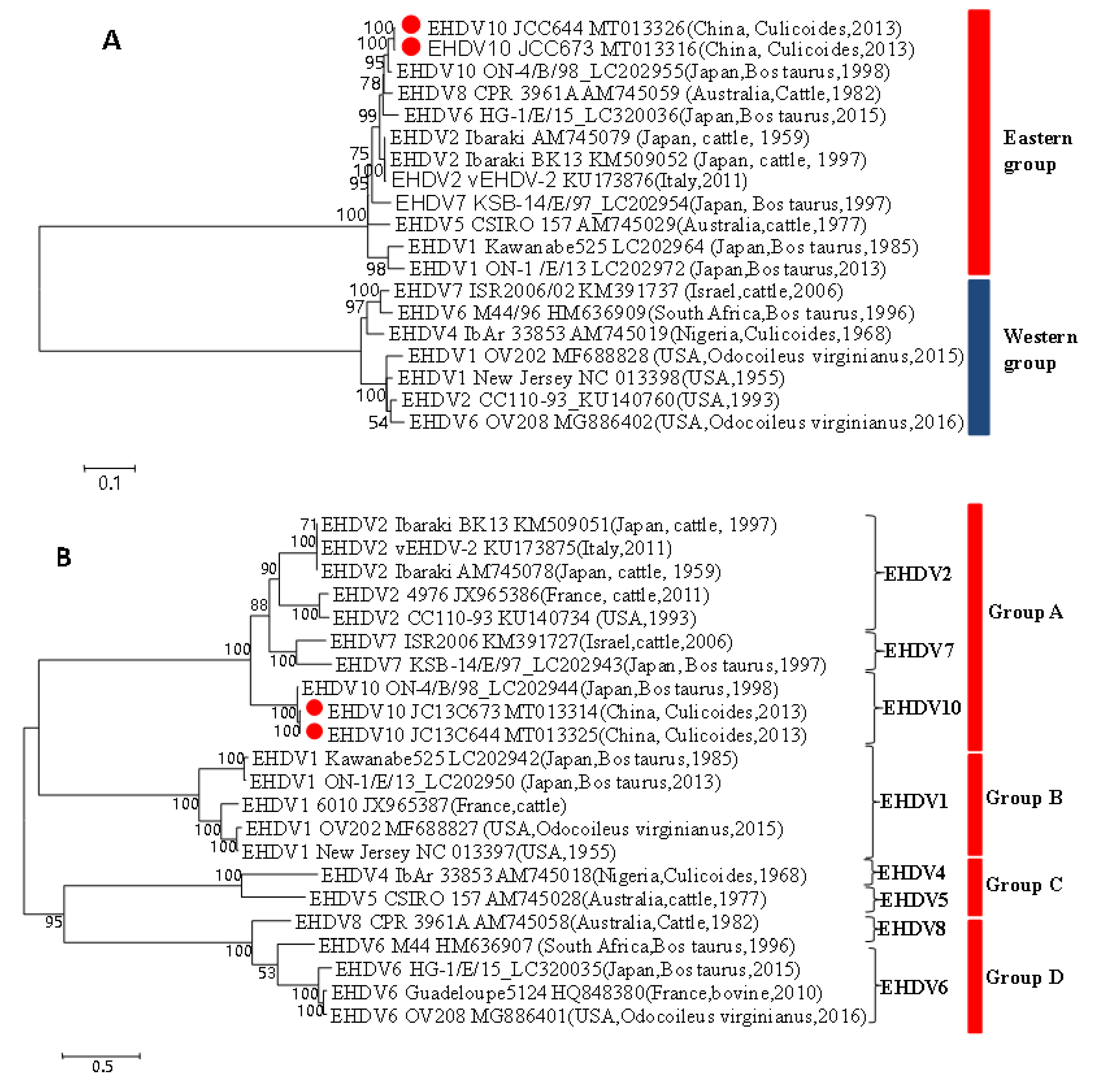 Isolation of Epizootic Hemorrhagic Disease Virus Serotype 10 from ...