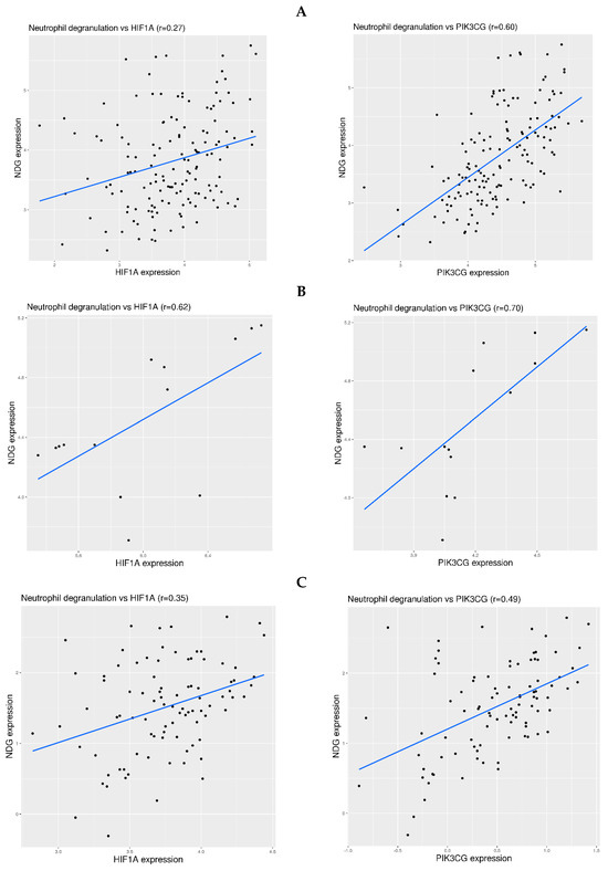 Hypoxia and Activation of Neutrophil Degranulation-Related Genes in the ...