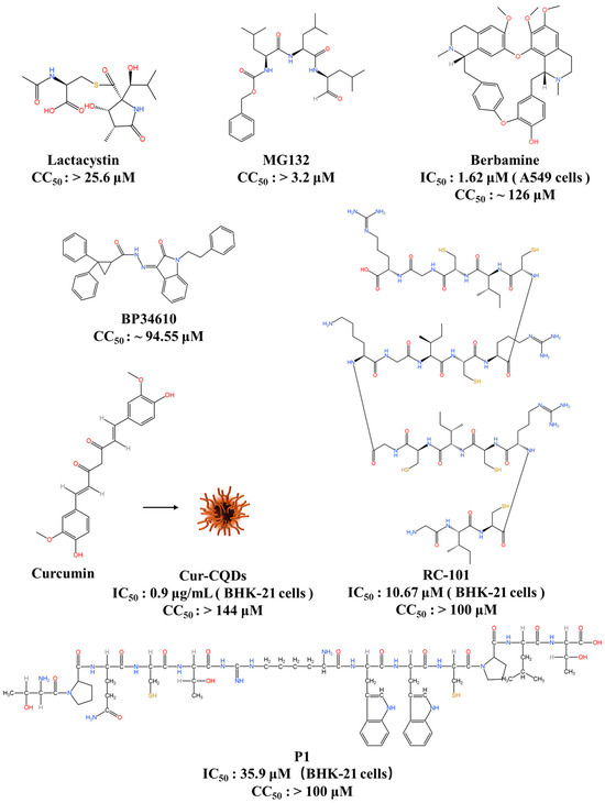 Current Advances in Japanese Encephalitis Virus Drug Development