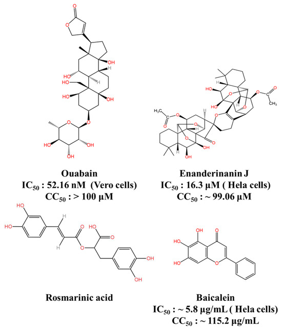 Current Advances in Japanese Encephalitis Virus Drug Development