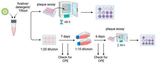 Comprehensive Assessment of Inactivation Methods for Madariaga Virus