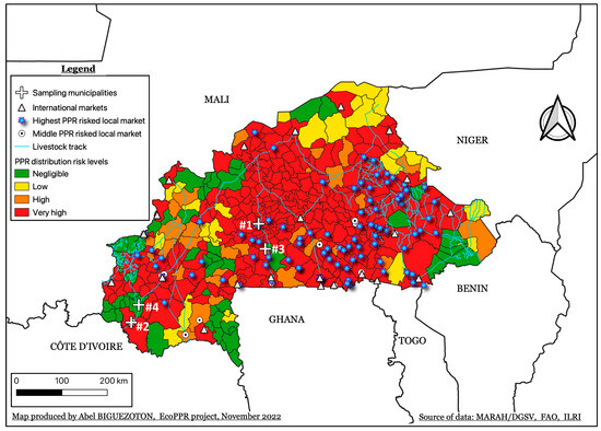 Molecular Epidemiology of Peste Des Petits Ruminants Virus in West ...