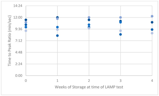 Stability of Genotube® Swabs for African Swine Fever Virus Detection ...