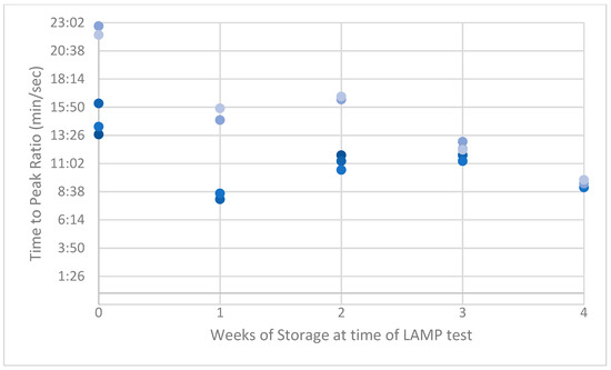 Stability of Genotube® Swabs for African Swine Fever Virus Detection ...