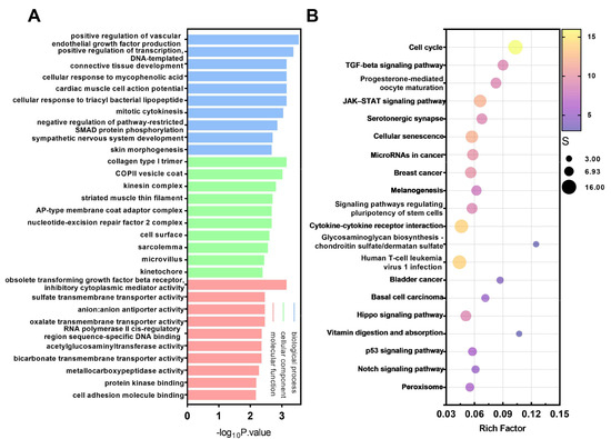 Transcriptional Differential Analysis of Nitazoxanide-Mediated ...