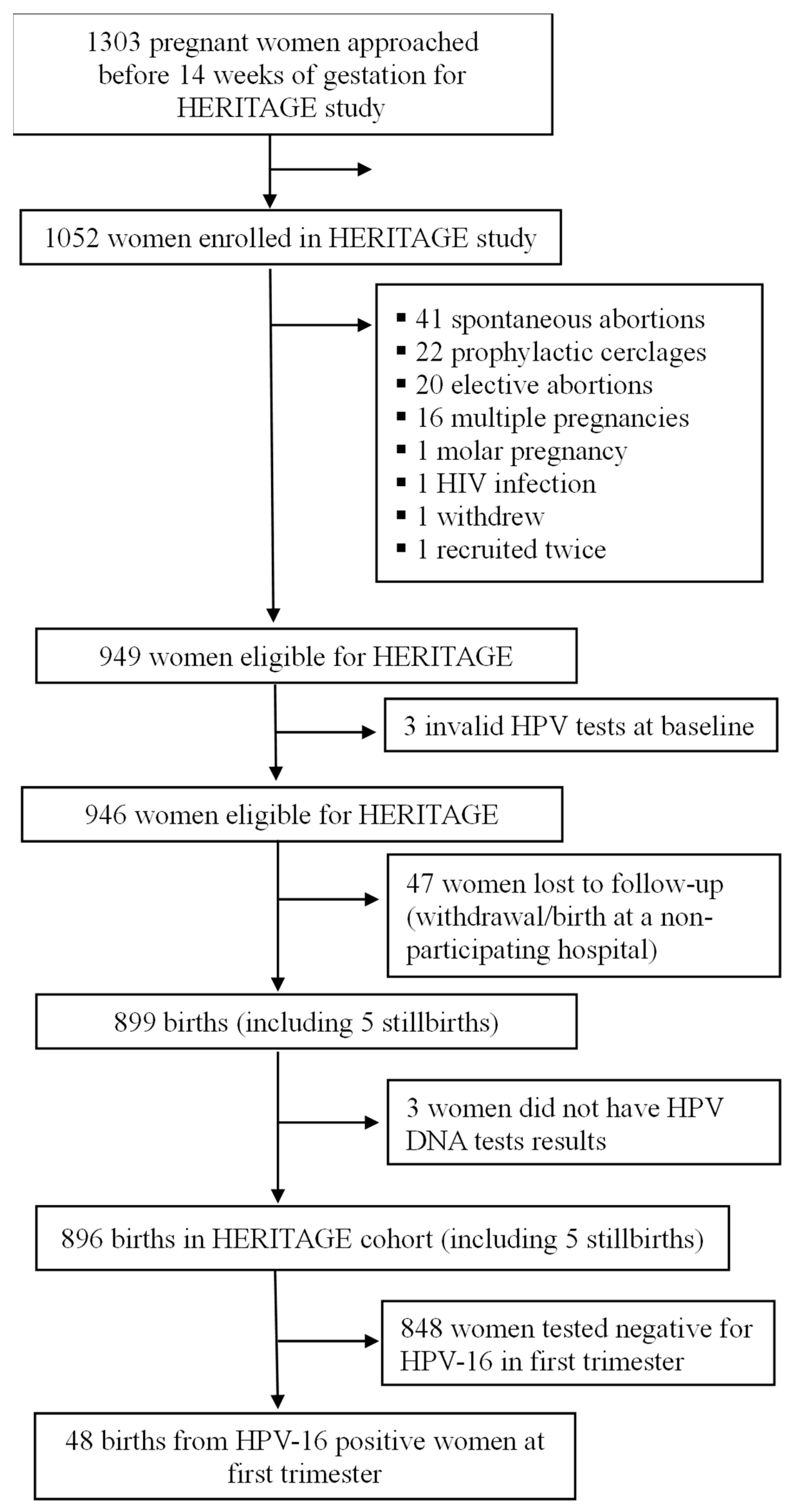 Association between Human Papillomavirus 16 Viral Load in Pregnancy and Preterm Birth