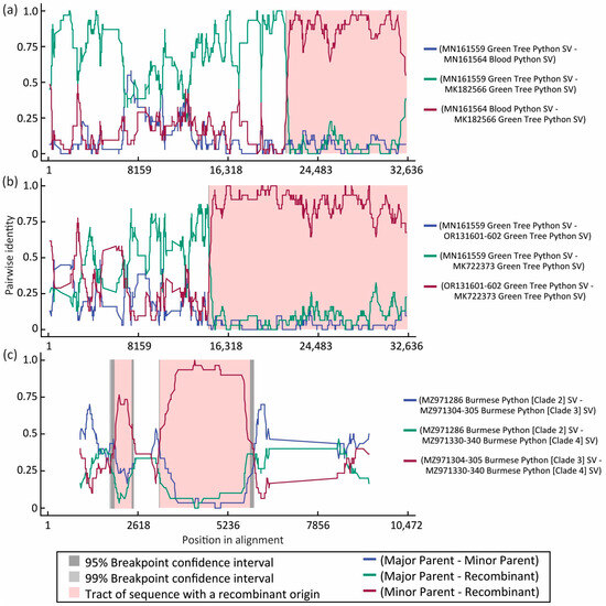 Serpentoviruses Exhibit Diverse Organization and ORF Composition with ...