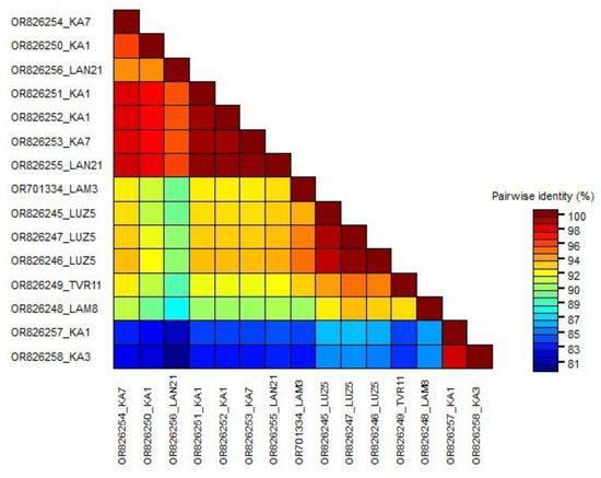 Multiple Infections with Viruses of the Family Tymoviridae in Czech ...