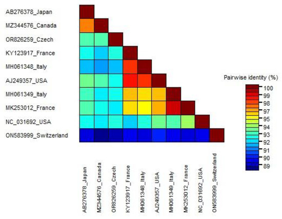 Viruses | Free Full-Text | Multiple Infections with Viruses of the ...