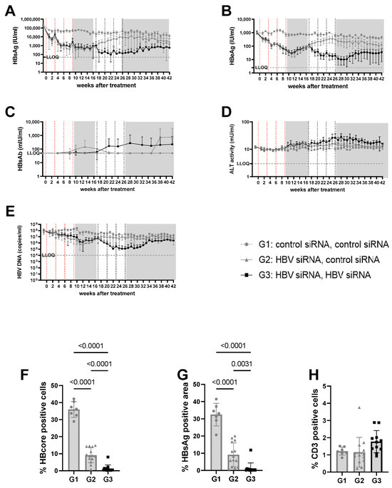Viruses | Free Full-Text | Retreatment with HBV siRNA Results in Additional Reduction in HBV ...