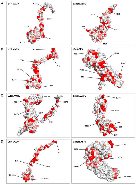 Identification of a Potential Entry-Fusion Complex Based on Sequence ...
