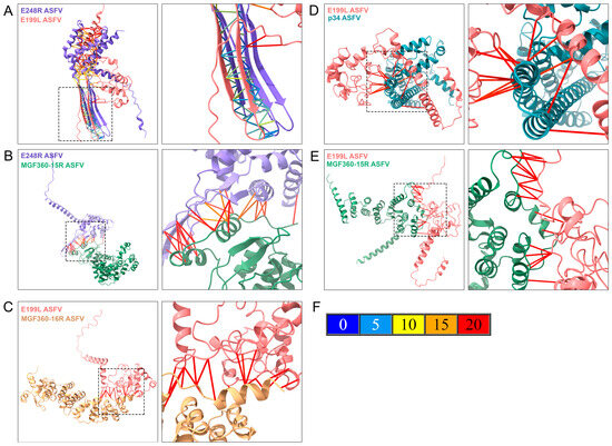 Identification of a Potential Entry-Fusion Complex Based on Sequence ...