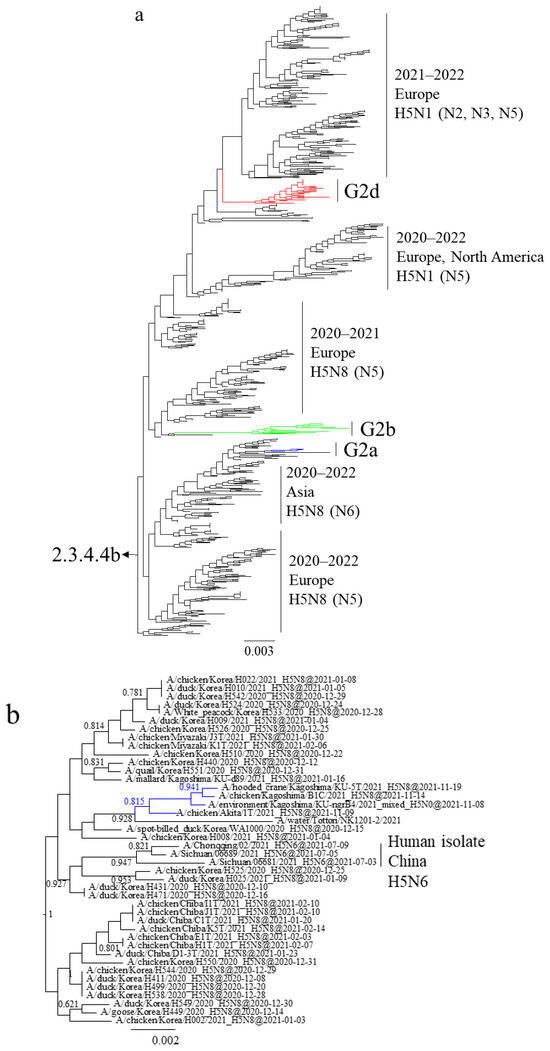 Genetics of H5N1 and H5N8 High-Pathogenicity Avian Influenza Viruses ...