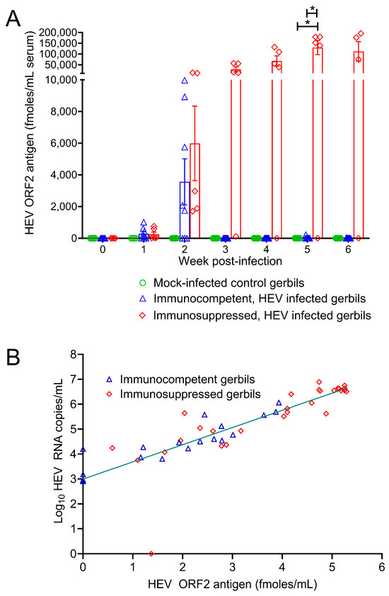 Quantification of Hepatitis E Virus ORF2 Protein by a Novel Sandwich ELISA