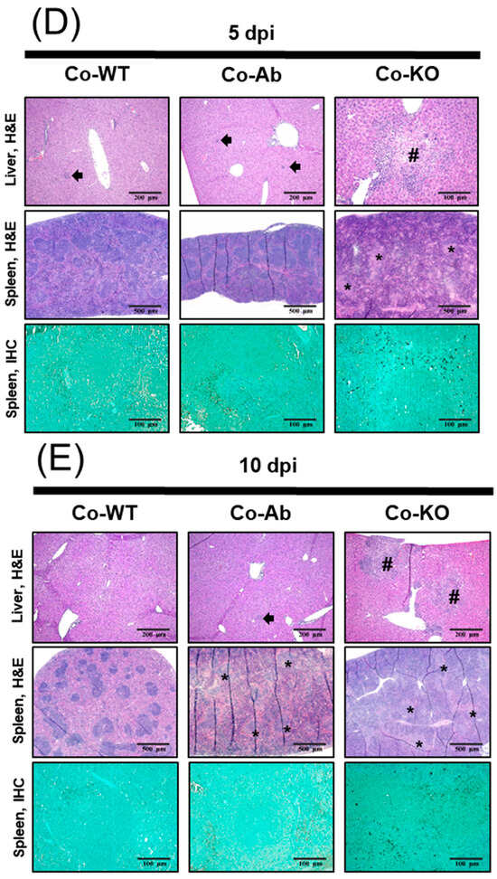 Difference in Intraspecies Transmissibility of Severe Fever with ...