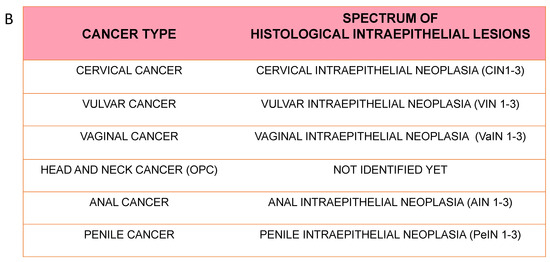 Human Oncogenic Viruses: Characteristics and Prevention Strategies ...