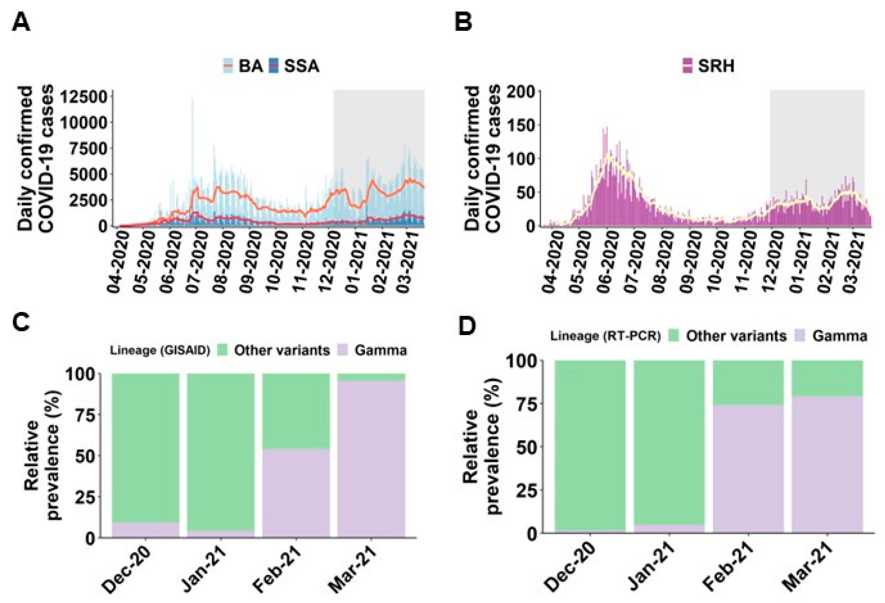 Assessing the Clinical Impact of the SARS-CoV-2 Gamma Variant on ...