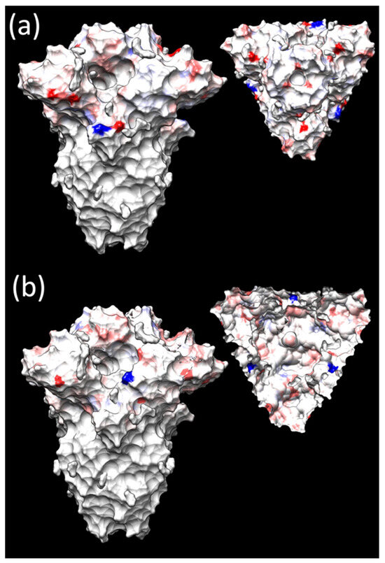 The Effect of Global Spread, Epidemiology, and Control Strategies on ...