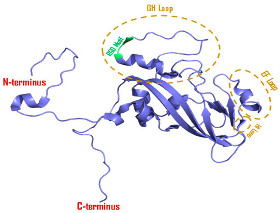 Cell Culture Adaptive Amino Acid Substitutions in FMDV Structural ...