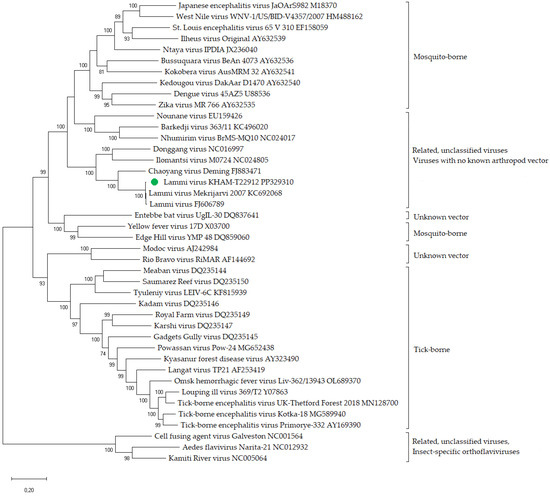 Orthoflavivirus Lammi in Russia: Possible Transovarial Transmission and ...