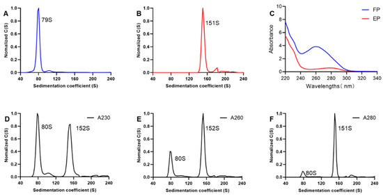 Quantitation of Enterovirus A71 Empty and Full Particles by ...