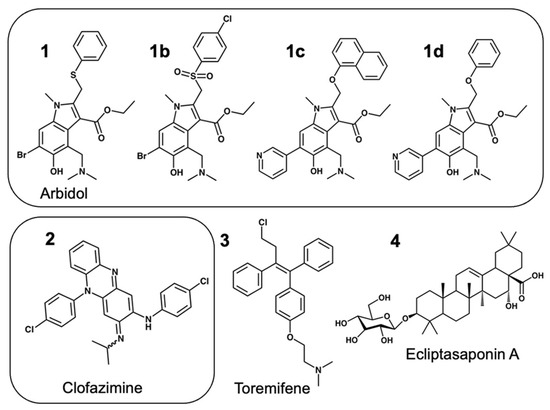 Viruses | Free Full-Text | The Dual-Targeted Fusion Inhibitor Clofazimine Binds to the S2 ...