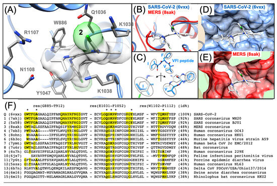 Viruses | Free Full-Text | The Dual-Targeted Fusion Inhibitor Clofazimine Binds to the S2 ...