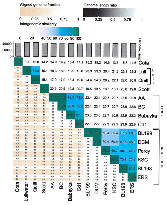 New Genera and Species of Caulobacter and Brevundimonas Bacteriophages ...