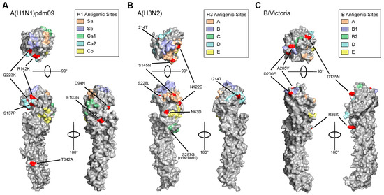 Influenza Virus Genomic Surveillance, Arizona, USA, 2023–2024