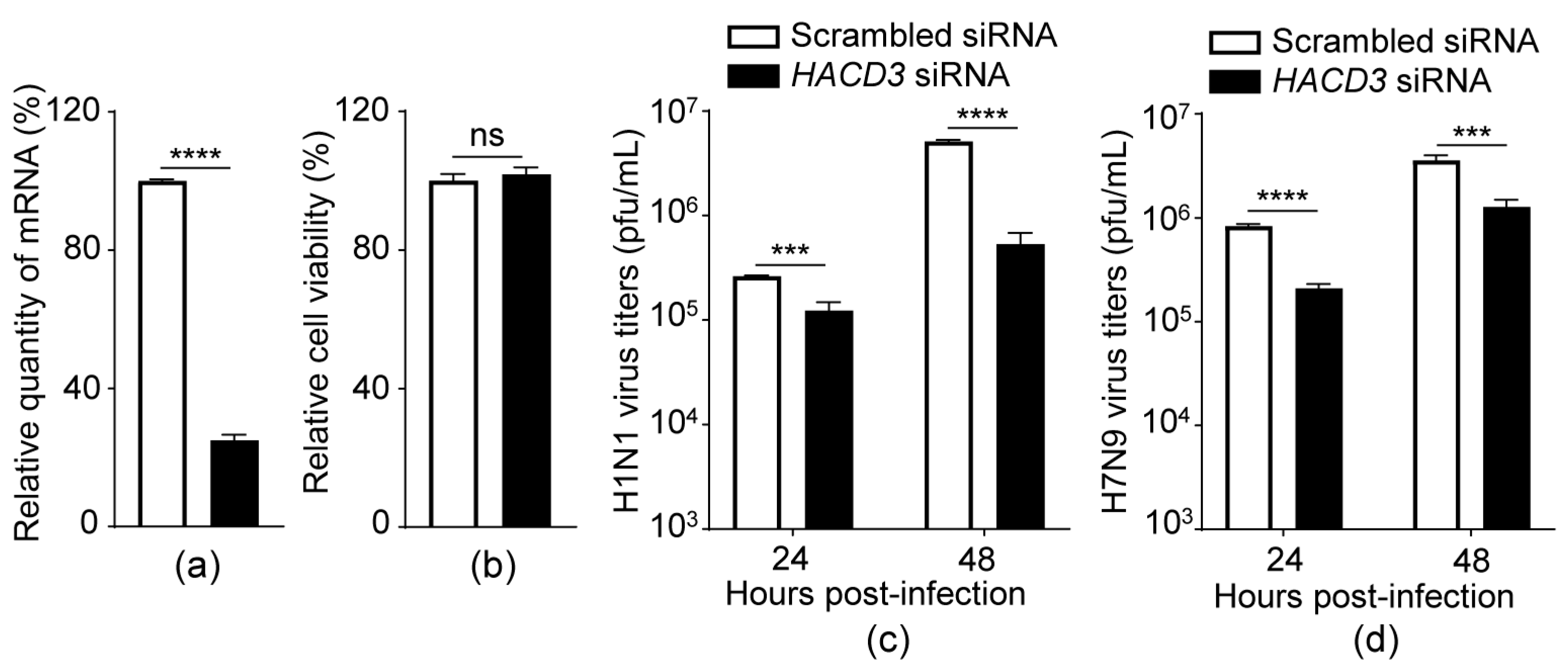 HACD3 Prevents PB1 from Autophagic Degradation to Facilitate the Replication of Influenza A Virus