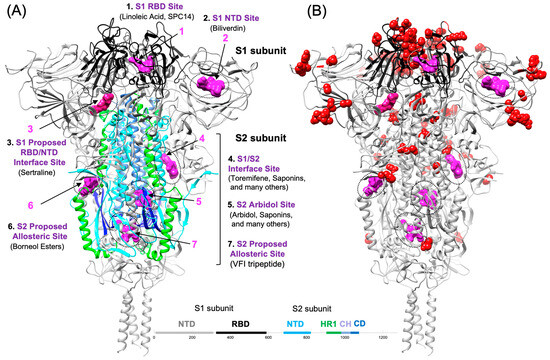 Viruses | Free Full-Text | Research Progress on Spike-Dependent SARS-CoV-2 Fusion Inhibitors and ...