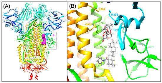 Viruses | Free Full-Text | Research Progress on Spike-Dependent SARS-CoV-2 Fusion Inhibitors and ...