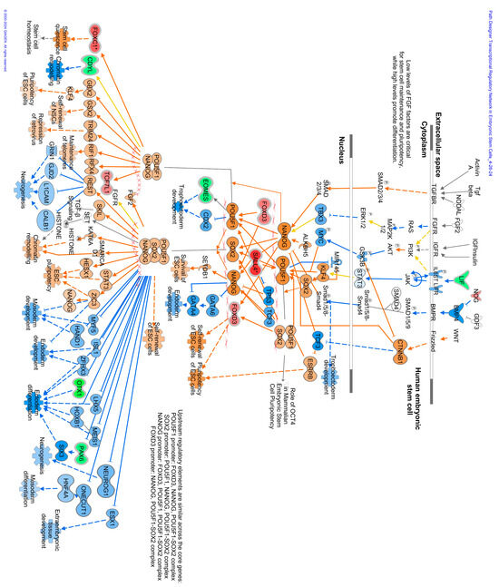 Epigenetic Modifications of White Blood Cell DNA Caused by Transient ...