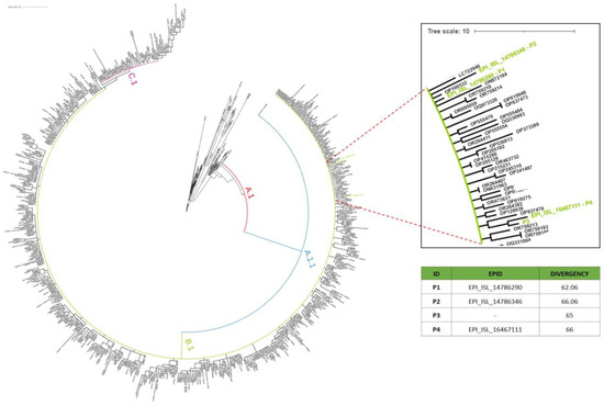 Exploring Viral Genome Profile in Mpox Patients during the 2022 ...