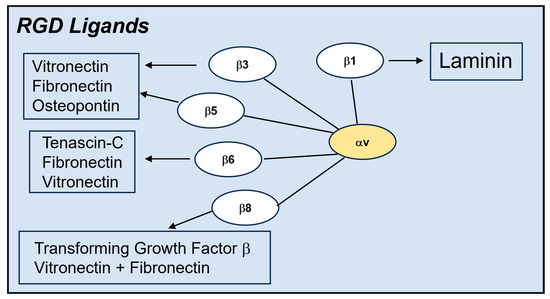 Integrin-Targeting Strategies for Adenovirus Gene Therapy