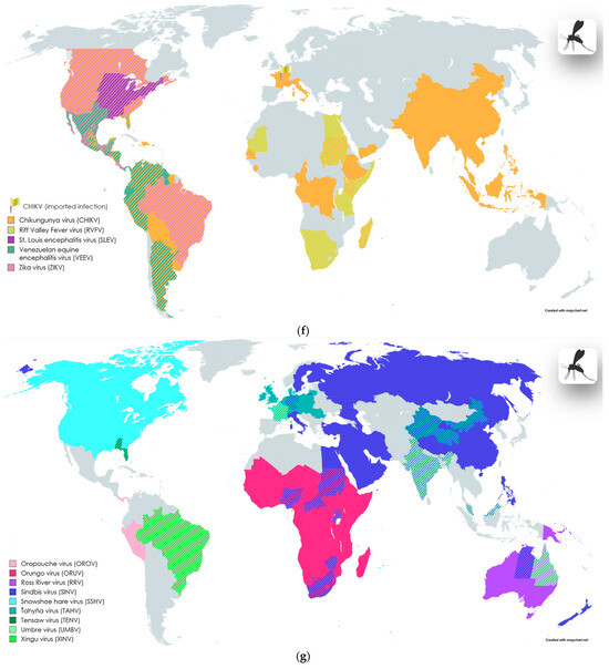 Square the Circle: Diversity of Viral Pathogens Causing Neuro ...