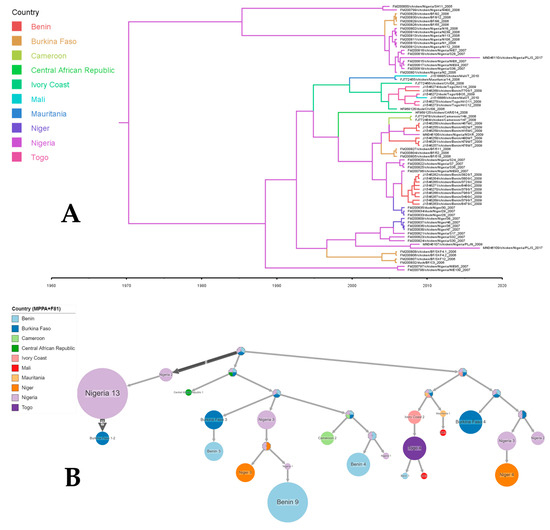 Genomic Diversity and Geographic Distribution of Newcastle Disease ...