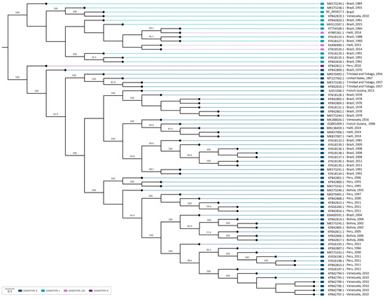 Evolutionary Profile of Mayaro Virus in the Americas: An Update into ...