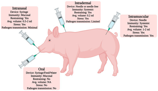 A Comprehensive Review of Our Understanding and Challenges of Viral ...