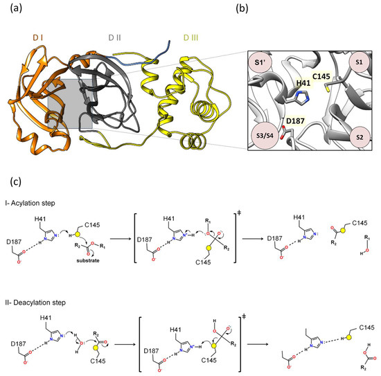 3-Chymotrypsin-like Protease (3CLpro) of SARS-CoV-2: Validation as a ...