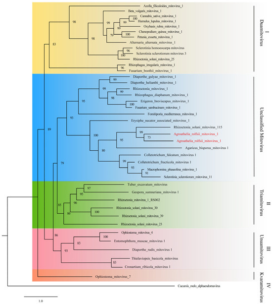 Characterization of Two Novel Single-Stranded RNA Viruses from ...