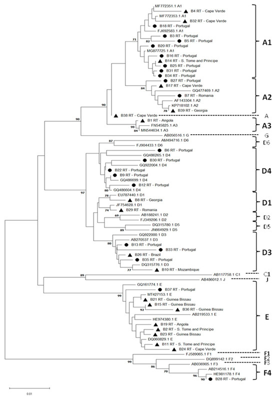 Hepatitis B Virus Genotypes and Subgenotypes Circulating in Infected ...