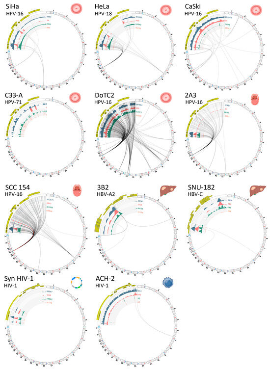 HPV, HBV, and HIV-1 Viral Integration Site Mapping: A Streamlined ...