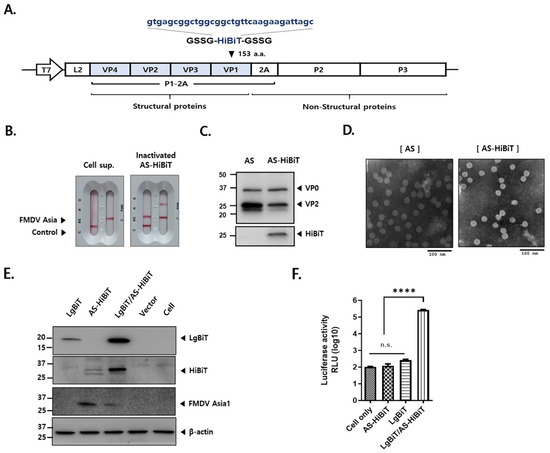Establishment of the Foot-and-Mouth Disease Virus Type Asia1 Expressing ...