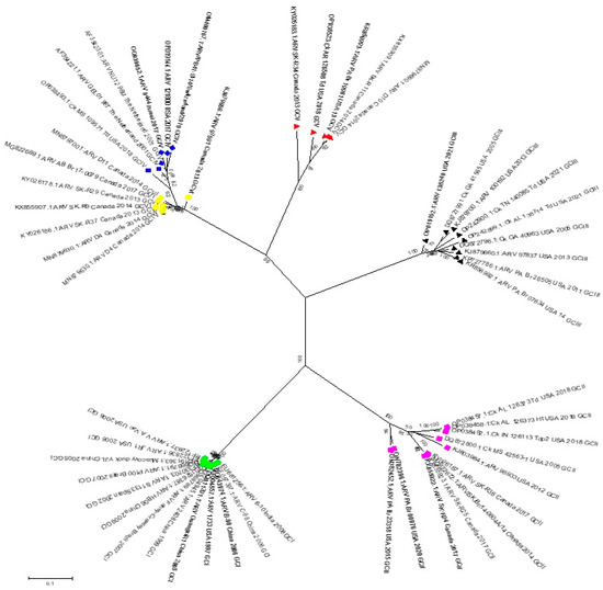 Avian Orthoreoviruses: A Systematic Review of Their Distribution ...