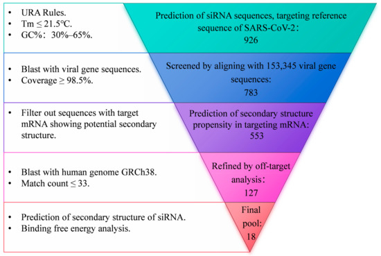 Inhibition of SARS-CoV-2 Replication by Self-Assembled siRNA ...