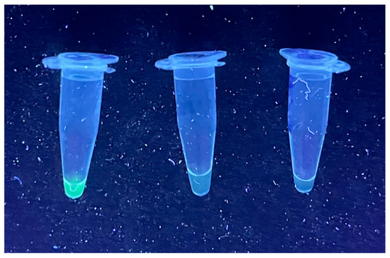 Development of a CRISPR/SHERLOCK-Based Method for Rapid and Sensitive ...