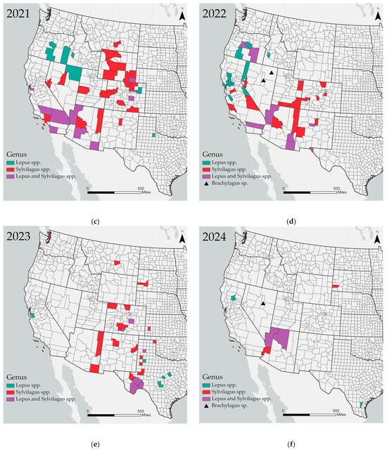 Detections of Rabbit Hemorrhagic Disease Virus 2 (RHDV2) Following the 2020 Outbreak in Wild ...