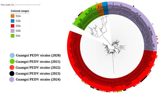 Phylogenetic and Evolutionary Analysis of Porcine Epidemic Diarrhea ...